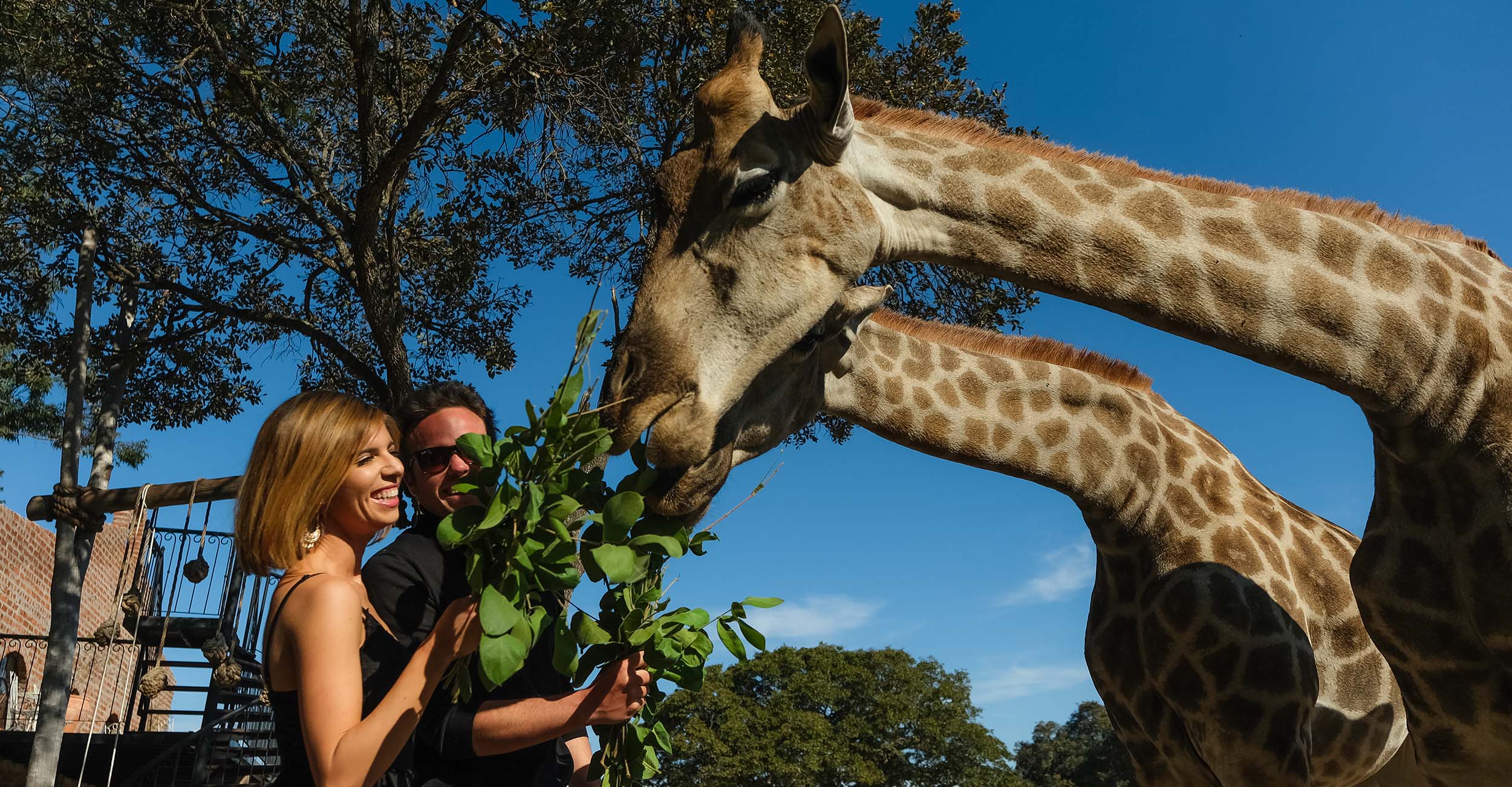Visit The Sanctuary | Wild is Life | Zimbabwe