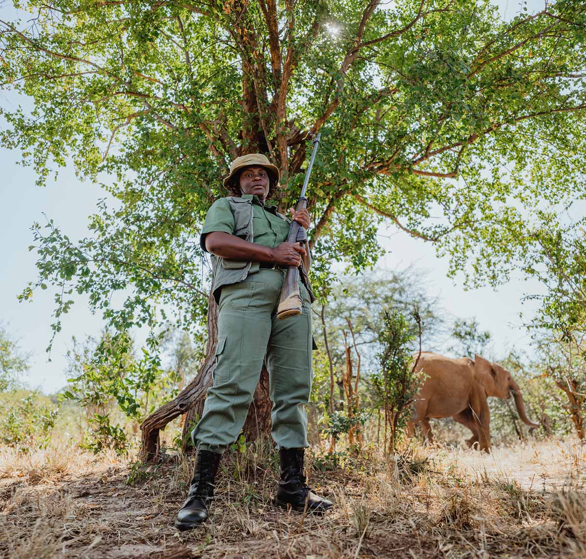 Habitat Conservation | Wild is Life | Zimbabwe