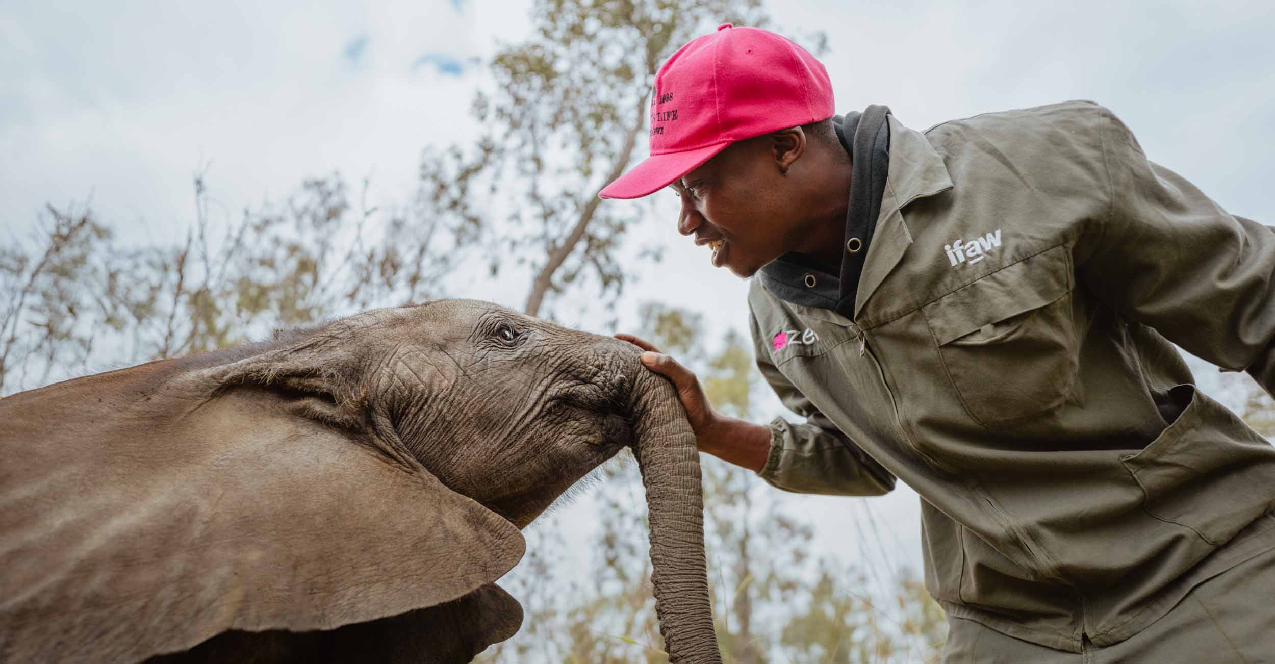 Zimbabwe Elephant Nursery | Wild is Life | Zimbabwe