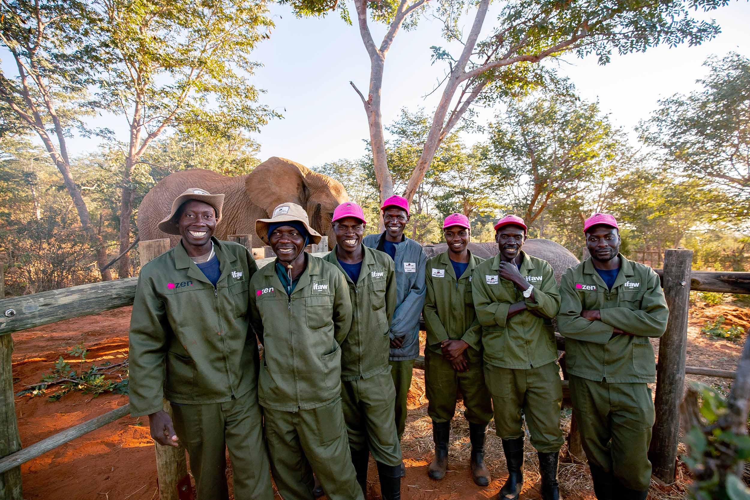 Habitat Conservation | Wild is Life | Zimbabwe