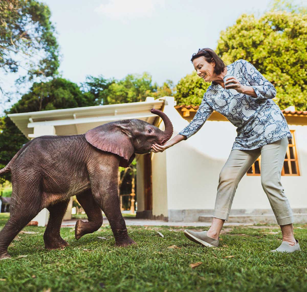 Our Story | Wild is Life | Wildlife Sanctuary Zimbabwe