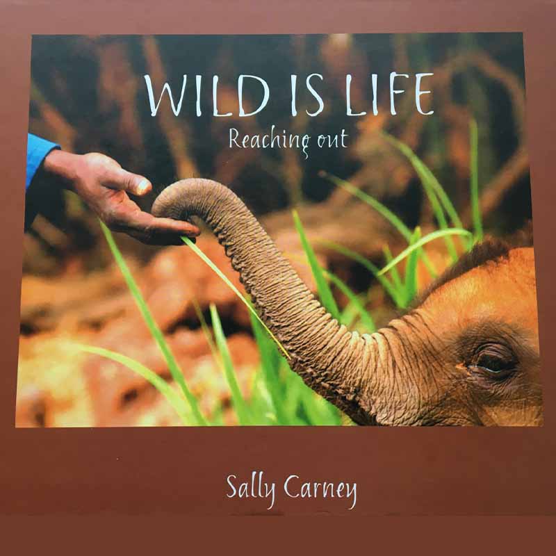 PR & News | Wild is Life | Wildlife Sanctuary Zimbabwe