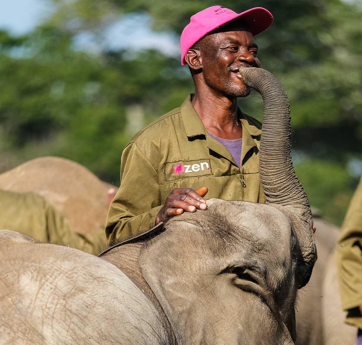 Contact Us | Wild is Life | Wildlife Sanctuary Zimbabwe